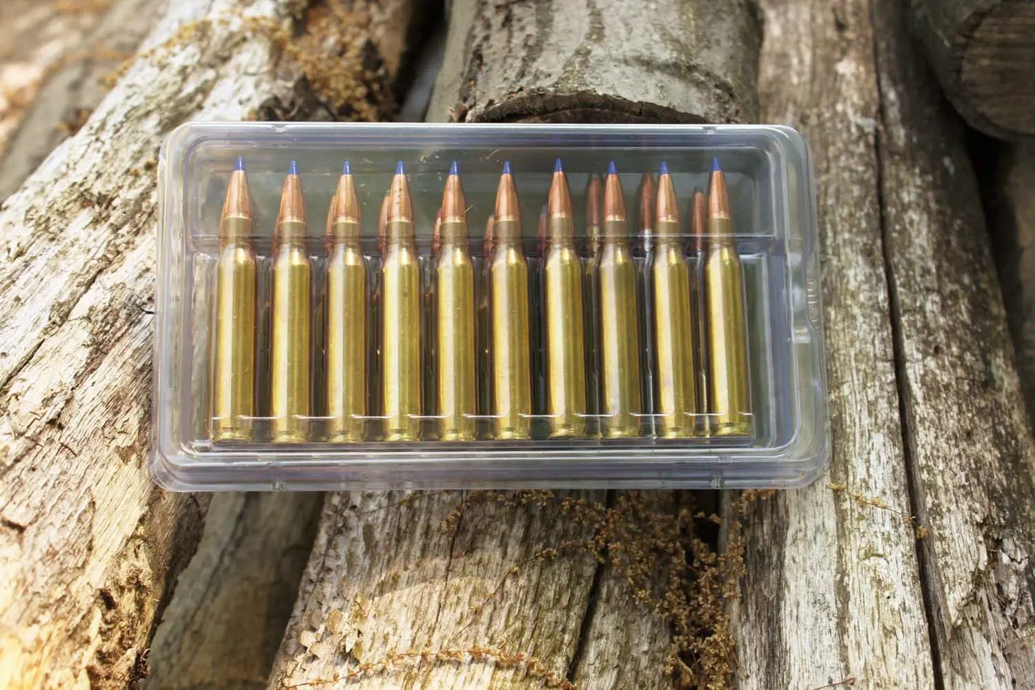 Ammo Buddy® Mag. R. (300 WIN MAG) 20CT Ammo Box